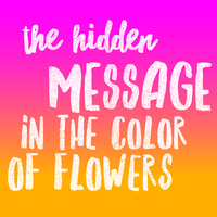 The Hidden Message in the Colors of Flowers - Enchanted Florist Pasadena