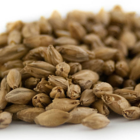 Munich Malt Light 8L - Avangard 1 lb - My Brew Supply