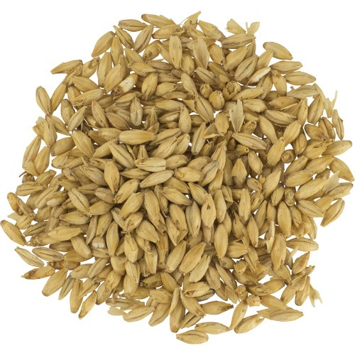 Pilsen Premium Malt by Avangard Malz 1 lb beer brewing grains (1.5L ...