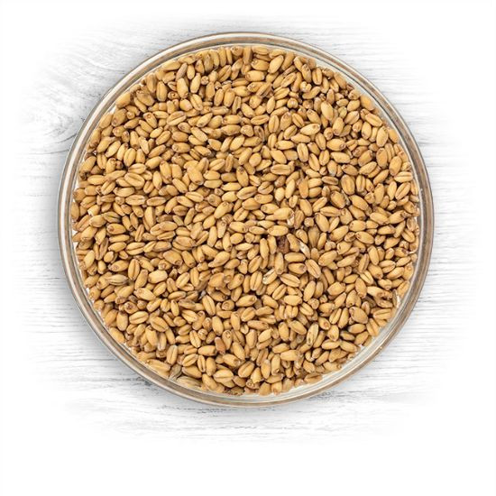 Wheat Premium Malt by Avangard Malz 55 lbs (Whole) beer brewing grains ...