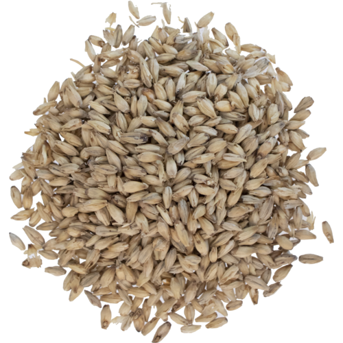 6-Row Malt by Avangard 1 lb beer brewing grains (2L) - My Brew Supply