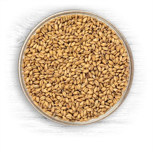 Beer Making - Beer Ingredients - Grains - Base Malts - My Brew Supply