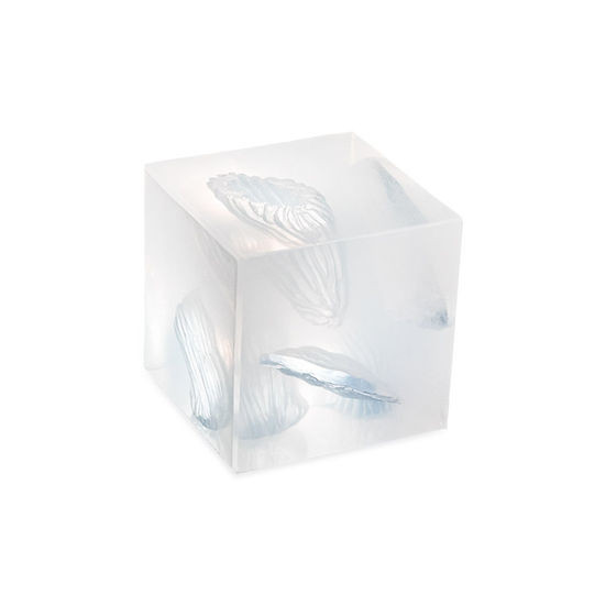 Wound Cube™ Gen2
