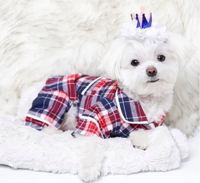 Cool Dog Clothes | Matching Set of Human and Dog Pajamas