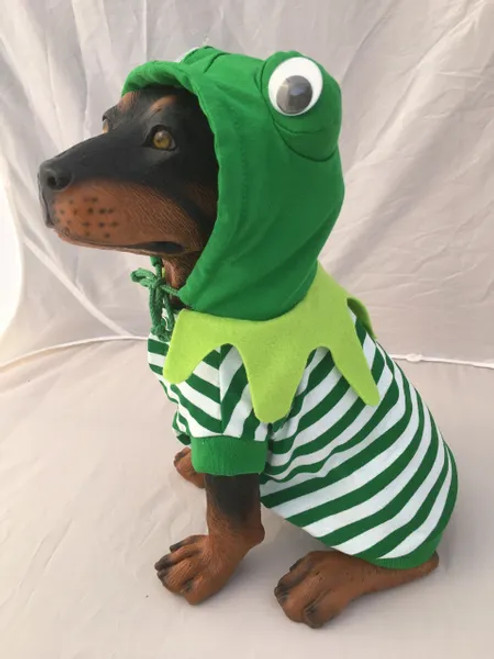 Frog Dog Costume | Rockstar Puppy Boutique