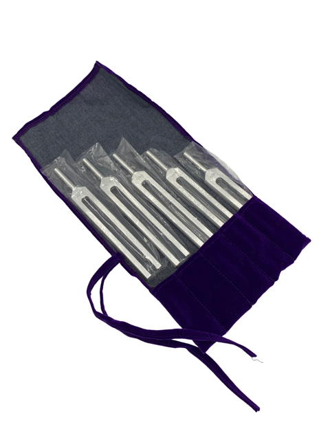 Infinity Rain Disk - Sunreed Instruments