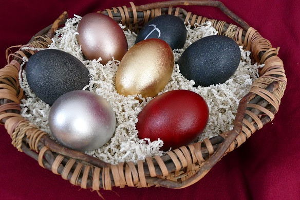 Womb Egg of Creation -- Women's Mysteries Rattle - Red Emu Egg - Womb ...