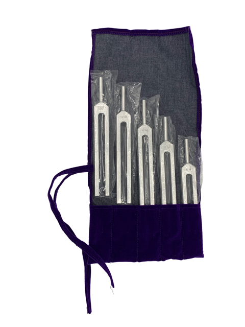 Infinity Rain Disk - Sunreed Instruments