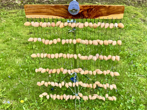 Balinese Kenari Seed & Nutshell Chime | Sound Healing Instruments – Sunreed