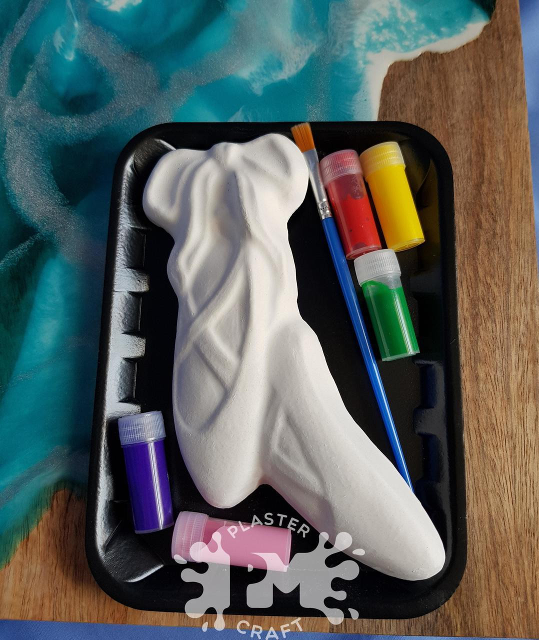 Ballet Shoes Small Plaster Gift Pack Australian Made Product