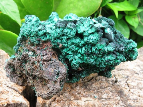 Medium Sized Silky Chatoyant Velvety Green Malachite Specimens ...