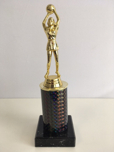 Golden Netball Goal Shooter Column Award 6" Budget Special Sale Deal