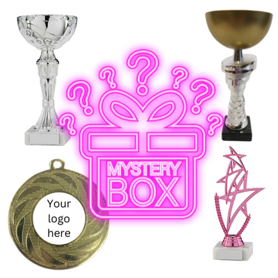 Mystery Box of Awards Multisport Trophies & Prizes Custom Logo Job Lot ...