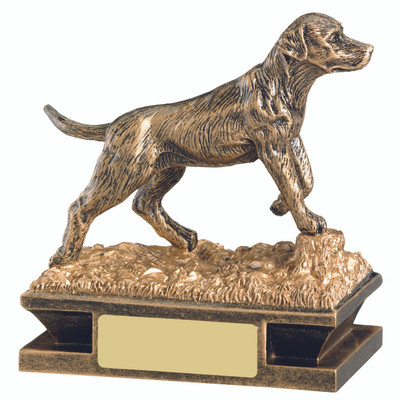 Gun Dog Obedience Agility Show Trophy 1st Place 4 Trophies