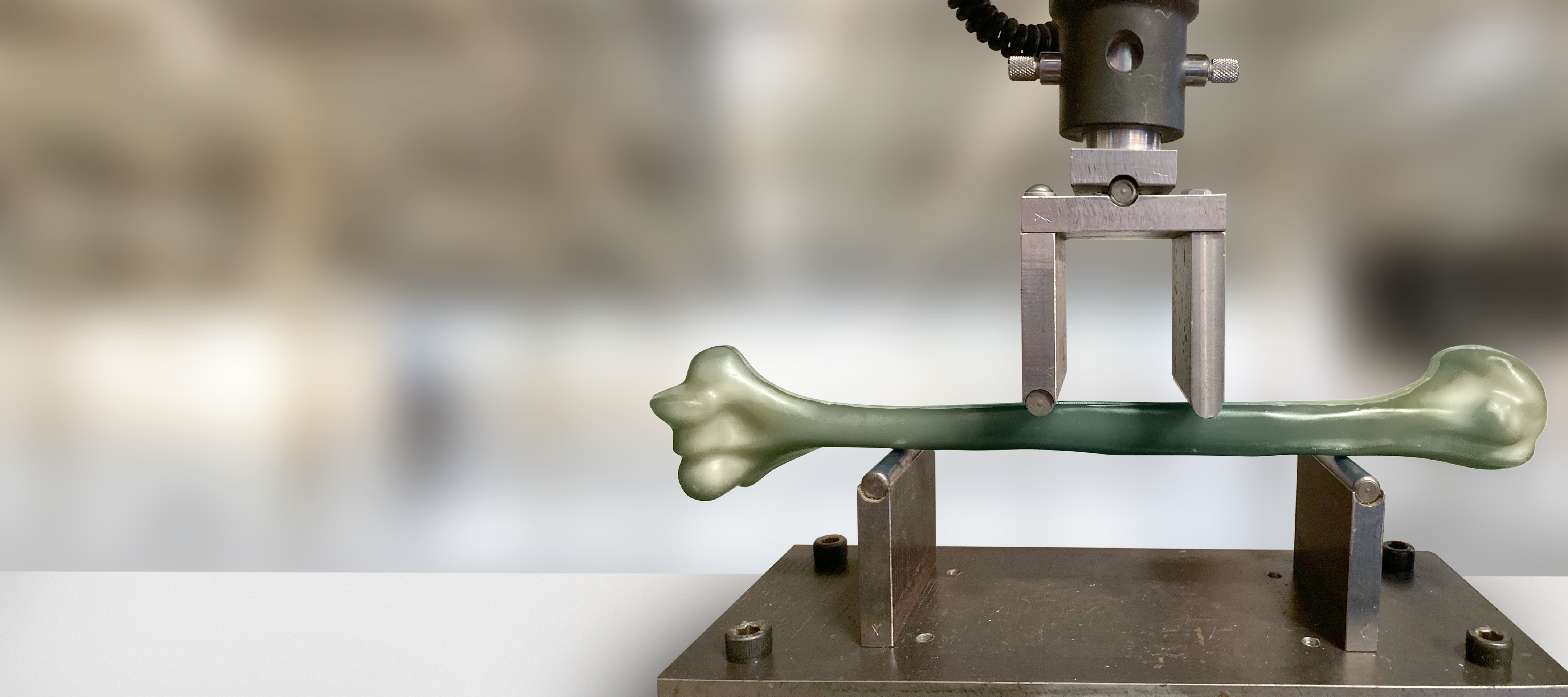 Best Anatomical Medical Training Models Company | Sawbones