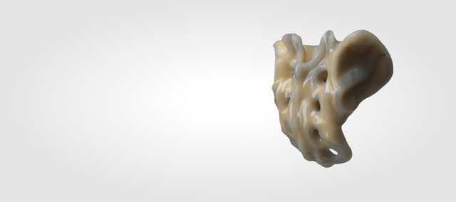 Best Anatomical Medical Training Models Company | Sawbones