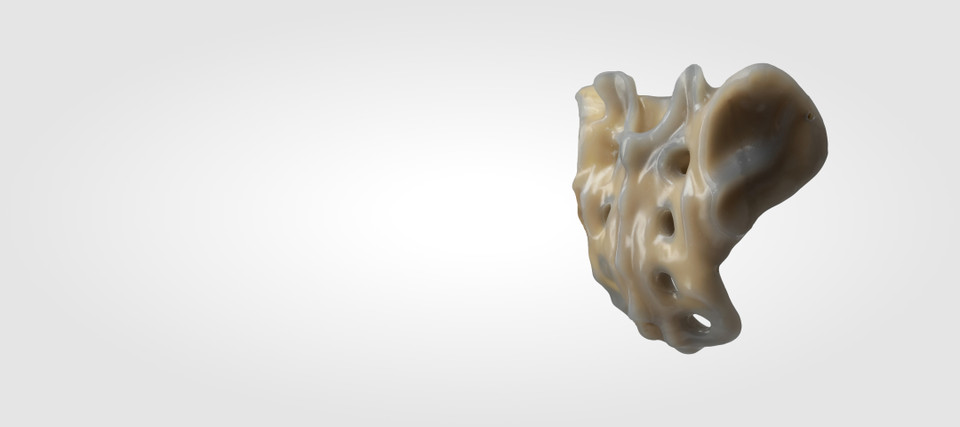 Best Anatomical Medical Training Models Company | Sawbones