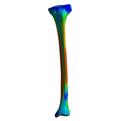 Tibia, Finite Element Model of #3402 - Sawbones