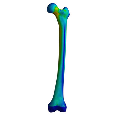 Femur, Finite Element Model of #3403 - Sawbones