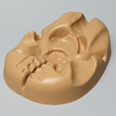 Pelvis Holder with Dual Approach - Sawbones